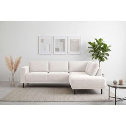 Ecksofa Home Affaire "Sveeva, L-Form, B.240 cm, schwarze Metallf&uuml;&szlig;e", creme, B:240cm H:78cm T:197cm, 100% PES, Sofas, Ecksofa, langlebiger Webstoff, mit Wellenunterfederung, viele Farben