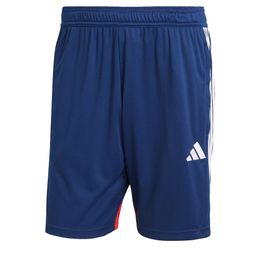 adidas Performance Workout Pants 'Tiro 25 Essentials' male Blue size XXL