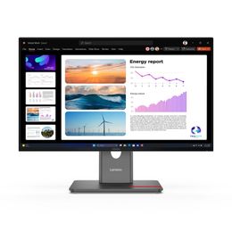 Lenovo ThinkVision P24Q-40 Quad HD Display 60,5 cm (23,8')