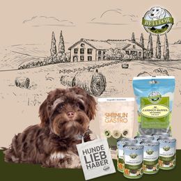 Bellfor Sparset f&uuml;r kleine Hunde mit empfindlicher Verdauung - Landgut-Men&uuml; + Landgut-Happen + Shiimun Gastro + Jutebeutel