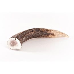 Gesunder Hundesnack - Hirsch-Geweihe XXL
