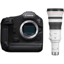 Canon EOS R1 + RF 800mm f5,6 L IS USM