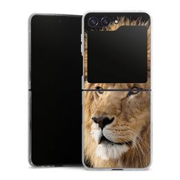 DeinDesign Galaxy Z Flip 5 Handy Hard Case Schutzh&uuml;lle transparent Smartphone Handy H&uuml;lle Jungle Lion Photography Hard Case