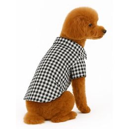 Paws&Whiskers Hundehoodie in Schwarz/ Wei&szlig; - 75% | Gr&ouml;&szlig;e S | Tierbedarf-hunde
