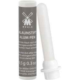 M&uuml;hle M&uuml;hle Alaunstift