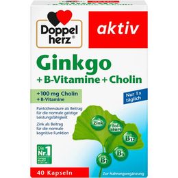 Doppelherz Ginkgo + B-Vitamine + Cholin Kapseln 40 St