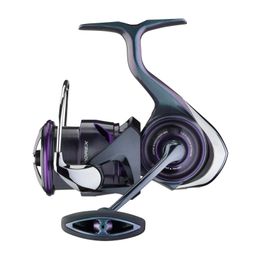 Daiwa 25 Prorex MQ LT2000 Spinnrolle