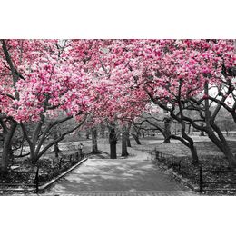 papermoon Fototapete "Rosa Bl&uuml;ten", B/L: 3,5m x 2,6m, Bahnen: 7 Stk., bunt, Schlafzimmer, Tapeten