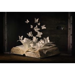 papermoon Fototapete "Photo-Art HEATHER BONADIO, LEPIDOPTEROLOGIE", B/L: 5m x 2,8m, Bahnen: 10 Stk., bunt, Schlafzimmer, Tapeten