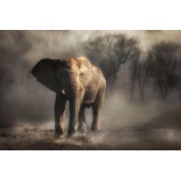 papermoon Fototapete "Photo-Art CHARLAINE GERBER, ELEFANT TRINKWASSER", B/L: 3,5m x 2,6m, Bahnen: 7 Stk., bunt, Schlafzimmer, Tapeten