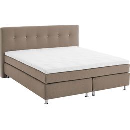 Boxspringbett, B:175cm L:210cm, beige, Westfalia Schlafkomfort, Bezug Bett: Feinstruktur 100% Polyester;Bezug Bonnell-Federkernmatratze: 100%