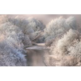 papermoon Fototapete "Photo-Art SEBESTYEN BELA, WINTERLIED", B/L: 3,5m x 2,6m, Bahnen: 7 Stk., bunt, Schlafzimmer, Tapeten