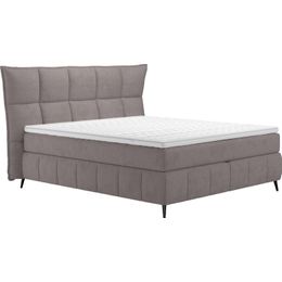 Boxspringbett COTTA, B:188cm L:215cm, grau, 100% Polyester, Komplettbetten, "Sarah", inkl. Topper, 2 Matratzenkerne, H&auml;rtegrade H2, H3 oder H4