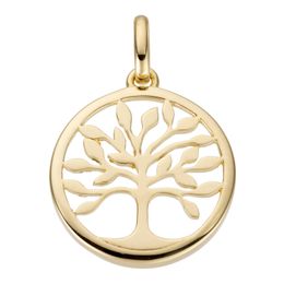 Jobo Damen Kettenanh&auml;nger "Anh&auml;nger Baum", Gelbgold 585, gelb, Gelbgold 585, Schmuckanh&auml;nger, 585 Gold