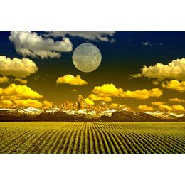 papermoon Fototapete "Felder mit Mond", B/L: 3,5m x 2,6m, Bahnen: 7 Stk., bunt, Schlafzimmer, Tapeten