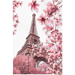 Poster Reinders, B:61cm H:91,5cm T:0,1cm, lila, Papier, Bilder, "Paris in Rosa"
