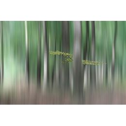 papermoon Fototapete "Photo-Art HUIB LIMBERG, SUMMERMHERING", B/L: 4,5m x 2,8m, Bahnen: 9 Stk., bunt, Schlafzimmer, Tapeten