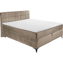 Boxspringbett, B:183cm L:210cm, grau, ED EXCITING DESIGN, 100% Polyester, Jugendzimmer, Komplettbetten, "Navarra", wahlweise mit Matratze