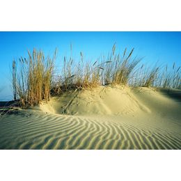 papermoon Fototapete "D&Uuml;NEN-STRAND MEER SEE OZEAN SAND GRAS NORDSEE OSTSEE", B/L: 3,5m x 2,6m, Bahnen: 7 Stk., bunt, Schlafzimmer, Tapeten