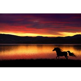 papermoon Fototapete "Pferd in landschaft", B/L: 3,5m x 2,6m, Bahnen: 7 Stk., bunt, Schlafzimmer, Tapeten