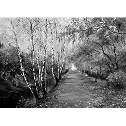 papermoon Fototapete "Waldweg Schwarz & Wei&szlig;", B/L: 4,5m x 2,8m, Bahnen: 9 Stk., schwarz, Schlafzimmer, Tapeten