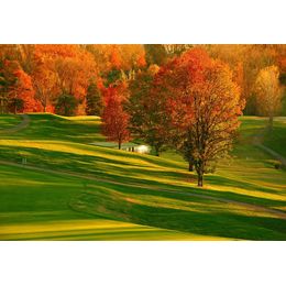 papermoon Fototapete "Herbst Feld", B/L: 3,5m x 2,6m, Bahnen: 7 Stk., bunt, Schlafzimmer, Tapeten