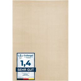 Teppich ANDIAMO, B:60cm H:16mm L:110cm, beige, Polyester, Wohnzimmer, Teppiche, "Arezzo", Uni Farben, weicher Flor, waschbar, ideal im Wohnzimmer &
