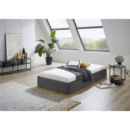 Polsterbett, B:105cm L:205cm, grau, Westfalia Schlafkomfort, Bezug: Glanzvelours 100% Polyester, Polsterung: Polsterwatte 100% Polyester, Gestell:
