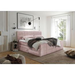 Boxspringbett, B:183cm L:220cm, rosa, ED EXCITING DESIGN, 92% Polyester, 8% Nylon, Jugendzimmer, Komplettbetten, "Bolivia", harte Seite mit