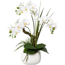 Kunstorchidee Creativ green, B:20cm H:46cm L:20cm, wei&szlig;, Obermaterial: 95% Polyethylen, 5% Polyester, Kunstpflanzen, "Deko-Orchidee Phalaenopsis im
