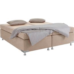 Boxspringbett, B:182cm L:201cm, beige, Westfalia Schlafkomfort, Microvelours (100% Polyester), Komplettbetten, "Holland", ohne Kopfteil, frei im Raum