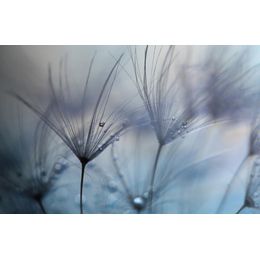 papermoon Fototapete "Photo-Art MATHIEU IRTHUM, TEARDROPS", B/L: 5m x 2,8m, Bahnen: 10 Stk., bunt, Schlafzimmer, Tapeten
