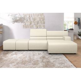 Ecksofa Egoitaliano, B:384cm H:80cm T:98cm, beige, Leder &raquo;BULL&laquo; (echtes Rindsleder). Geschliffenes, pigmentiertes und behandeltes Rindsleder mit