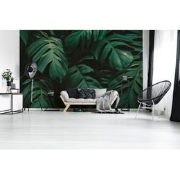 A.S. Cr&eacute;ation A.S. CR&Eacute;ATION Vliestapete "Fototapete Monstera Bl&auml;tter Dunkelgr&uuml;n Tropisch", B/L: 2,55m x 3,5m, Rollen: 1schwarz, Wohnzimmer, Tapeten