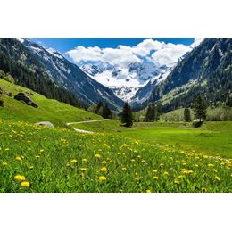 papermoon Fototapete "ALPEN TIROL GEBIRGE", B/L: 2,5m x 1,86m, Bahnen: 5 Stk., bunt, Schlafzimmer, Tapeten