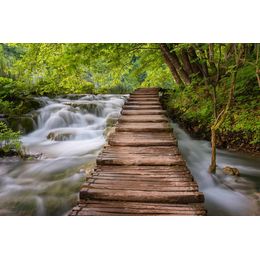 papermoon Fototapete "Waldbr&uuml;cke &uuml;ber Fluss", B/L: 4m x 2,6m, Bahnen: 8 Stk., bunt, Schlafzimmer, Tapeten