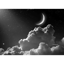 papermoon Fototapete "Nachthimmel Schwarz & Wei&szlig;", B/L: 4m x 2,6m, Bahnen: 8 Stk., schwarz, Schlafzimmer, Tapeten