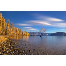 papermoon Fototapete "Photo-Art HUA ZHU, HERBST IM SEE WANAKA", B/L: 4,5m x 2,8m, Bahnen: 9 Stk., bunt, Schlafzimmer, Tapeten
