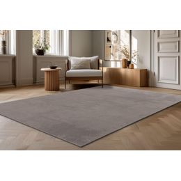 Teppich Kayoom, B:160cm H:14mm L:220cm, grau, Polyester, Wohnzimmer, Teppiche, "Earthquake 225", auch als L&auml;ufer, dichter uni Kurzflor, Wohnzimmer