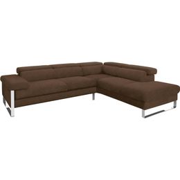 Ecksofa W.Schillig, B:281cm H:71cm T:230cm, braun, Flachgewebe S22 (100% Polyester);Stoff S37 (100% Polyester);Longlife Xtra-Leder Z59: Glattleder