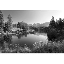 papermoon Fototapete "Landschaft Schwarz & Wei&szlig;", B/L: 4m x 2,6m, Bahnen: 8 Stk., schwarz, Schlafzimmer, Tapeten