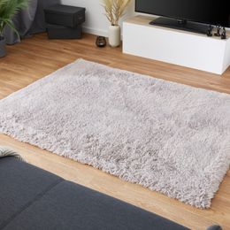 Teppich ANDIAMO, B:120cm H:36mm L:160cm, grau, Obermaterial: 100% Polyester, Wohnzimmer, Teppiche, "Alpa", Uni Farben, Microfaser, besonders weich &
