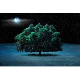 papermoon Fototapete "Baum in Landschaft bei Nacht", B/L: 3,5m x 2,6m, Bahnen: 7 Stk., bunt, Schlafzimmer, Tapeten