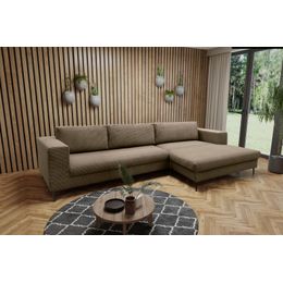 Ecksofa DOMO collection, B:329cm H:83cm T:173cm, braun, 100% Polyester, Wohnzimmer, Sofas, "Modica, zeitlos und elegant, L-Form", moderne Optik mit