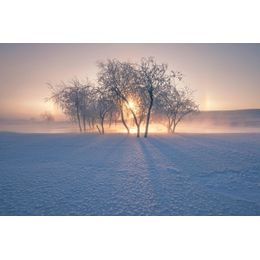 papermoon Fototapete "Photo-Art BINGO Z, SCHNEELANDSCHAFT IM WINTER", B/L: 4,5m x 2,8m, Bahnen: 9 Stk., bunt, Schlafzimmer, Tapeten