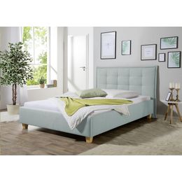 Polsterbett Maintal, B:118cm H:105cm L:213cm, bunt, Betten, "Retlaw", Bettseiten zerlegt, ohne Bettkasten