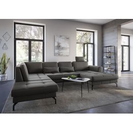 Sit & More Sofa-Kopfst&uuml;tze SIT & MORE, B:50cm H:25cm T:12cm, braun, Holzwerkstoff, Kopfst&uuml;tzen, "Bendigo"