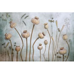 papermoon Fototapete "Photo-Art MANDY DISHER, MOHN", B/L: 3,5m x 2,6m, Bahnen: 7 Stk., bunt, Schlafzimmer, Tapeten