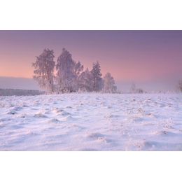 papermoon Fototapete "Schneelandschaft", B/L: 4m x 2,6m, Bahnen: 8 Stk., bunt, Schlafzimmer, Tapeten