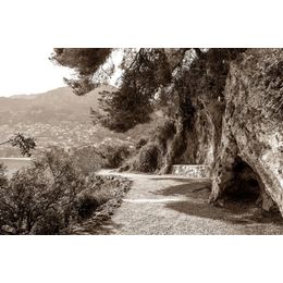 papermoon Fototapete "lanschaft Sepia", B/L: 4m x 2,6m, Bahnen: 8 Stk., bunt, Schlafzimmer, Tapeten